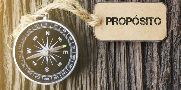 Imprima propósito em tudo que sua empresa faz – Lavoro Desenvolvimento